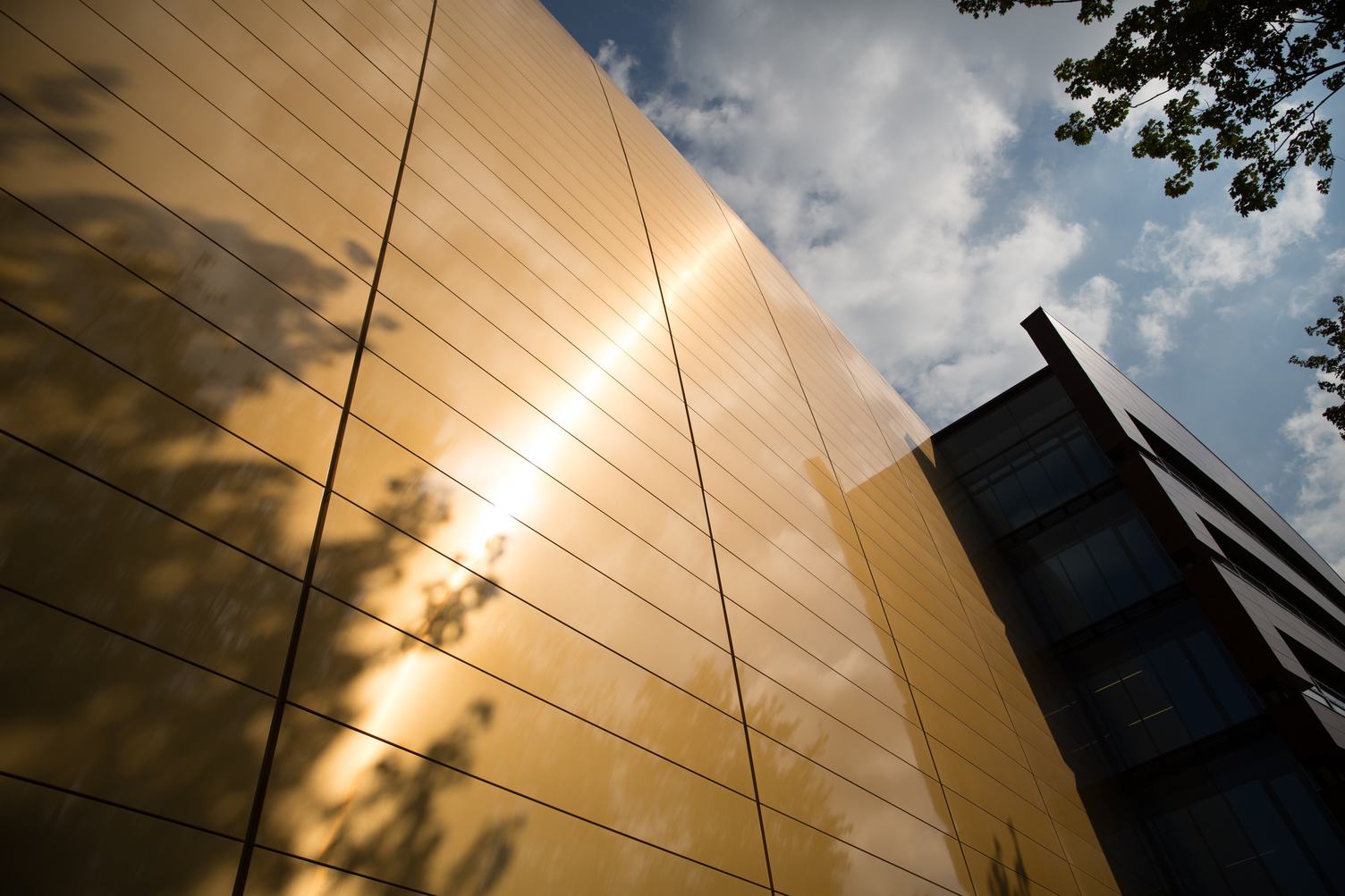 Free Photo: Modern Gold Facade Tiles reflecting Tree Branches