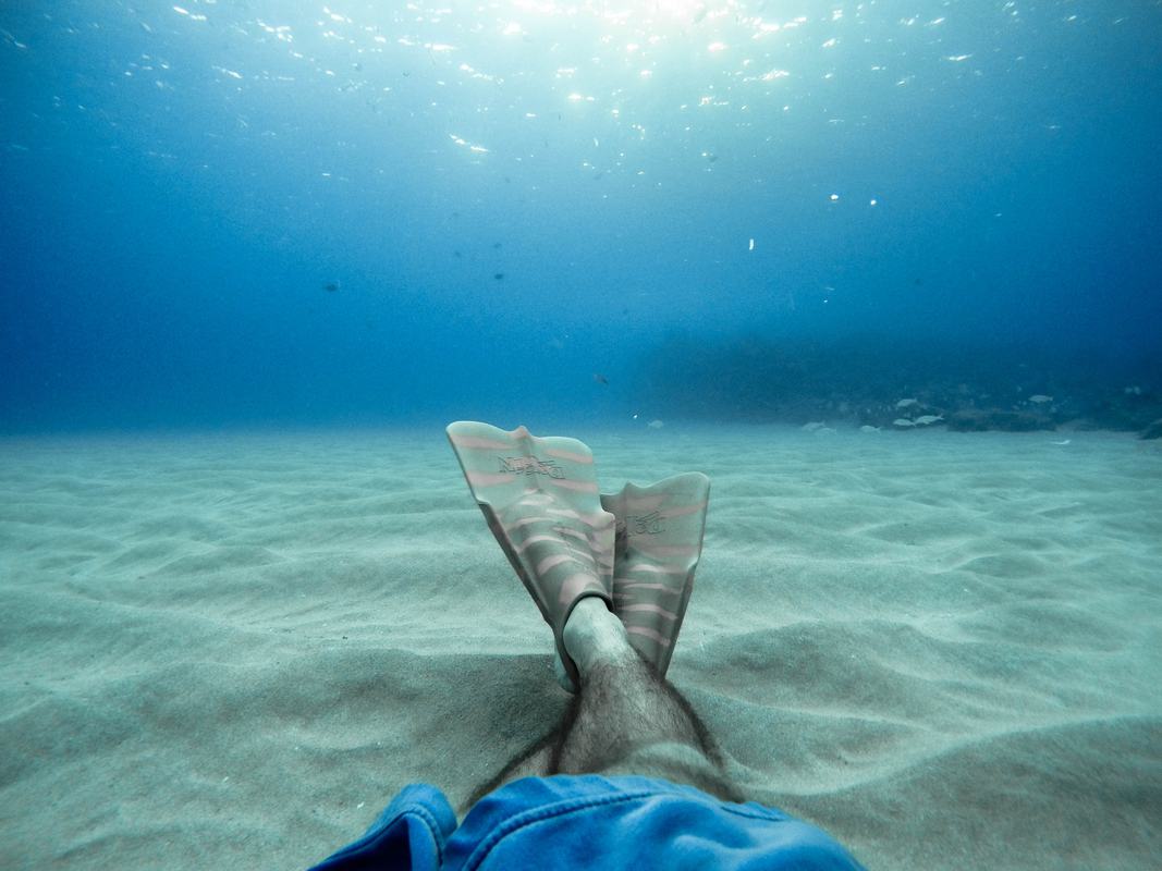 Free Photo: Underwater Photo of Male Legs with Fins