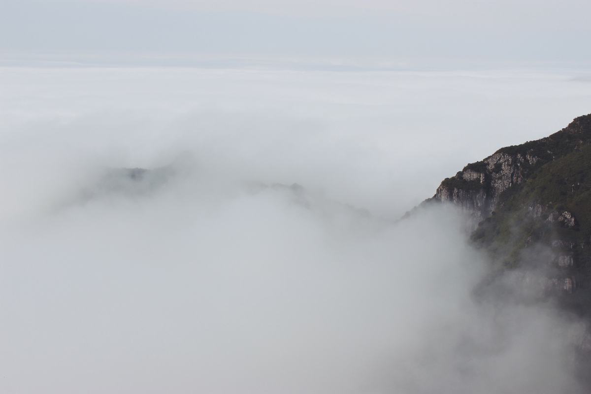Free Photo: Cliffs in the Fog