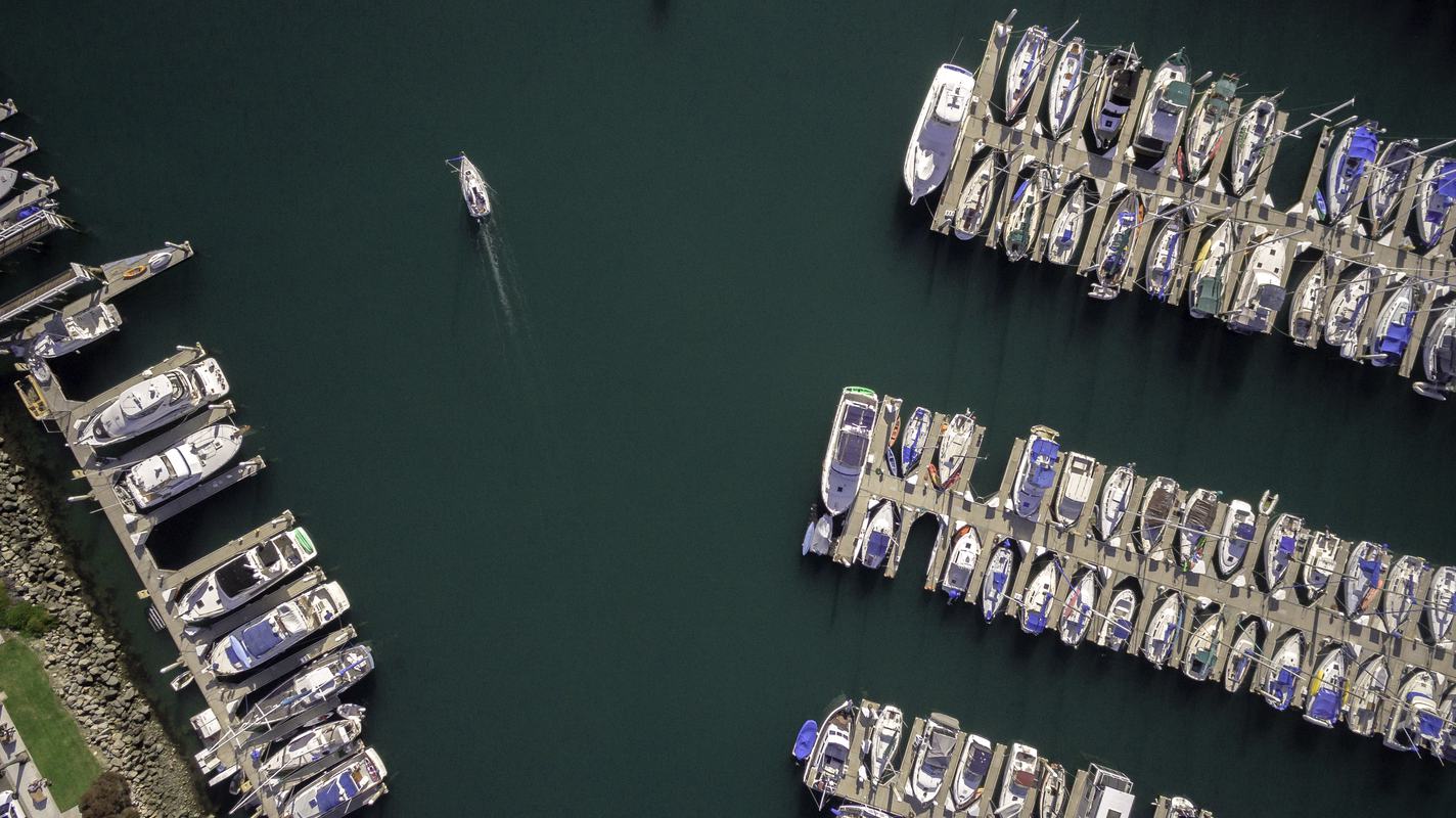 Free Photo: Top View of Boats in Marina