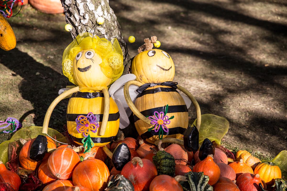 Free Photo: Maya the Bee and Willy Made of Pumpkins