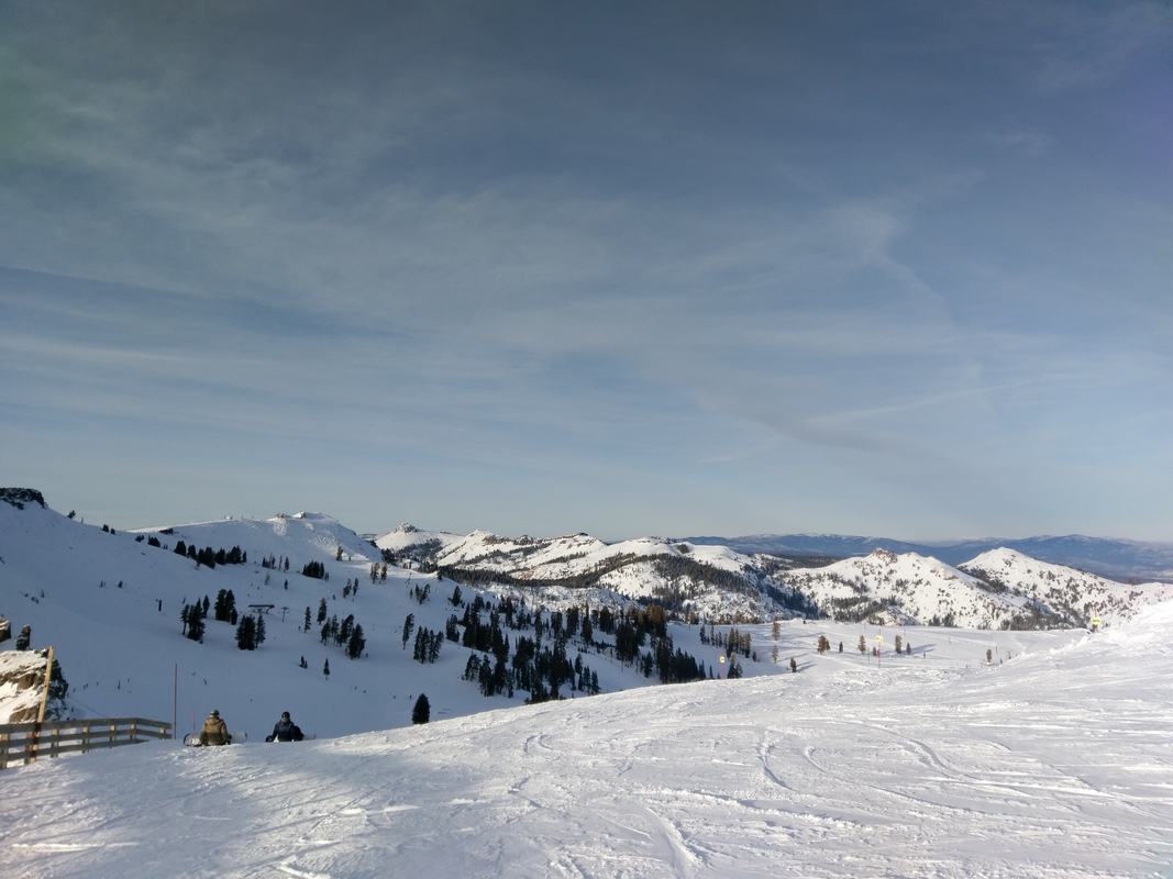 Free Photo: Winter Landscape with Snow