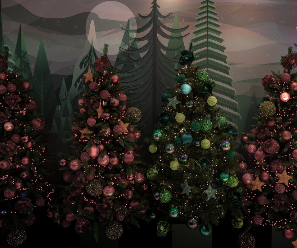 Free Photo: Christmas Trees