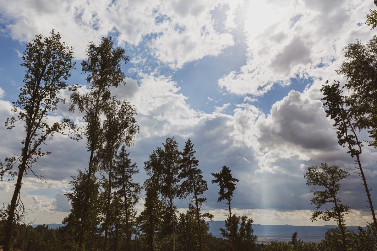 Free Photo: Trees in the Distance with a Panorama of Mountains