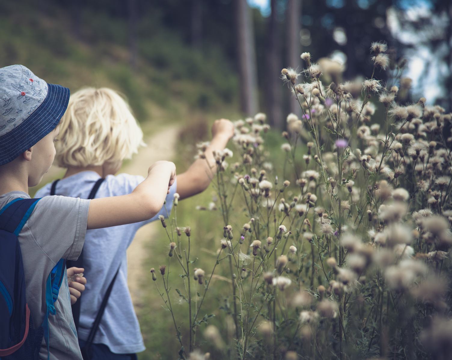 Free Photo: Experiencing Nature