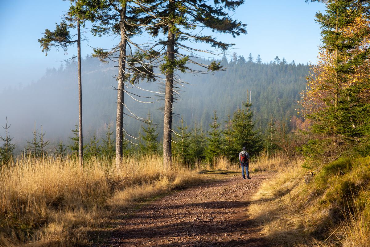 Free Photo: Autumn in the Mountains
